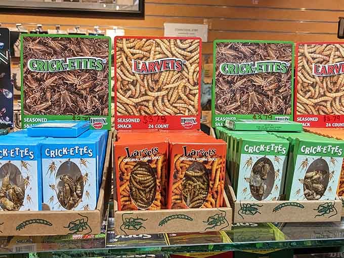 Edible insects packaged like snacks, challenging your definition of protein one crunchy cricket at a time adventurously.