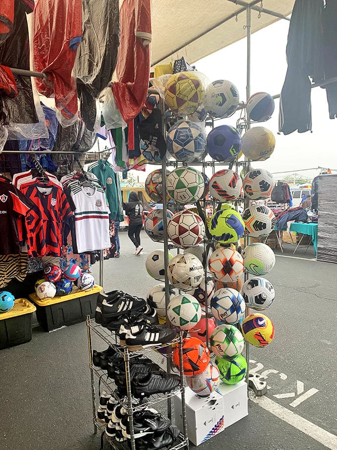 Soccer balls, basketballs, and more&mdash;enough sporting equipment to start your own neighborhood Olympics or finally teach the kids to play outdoors.
