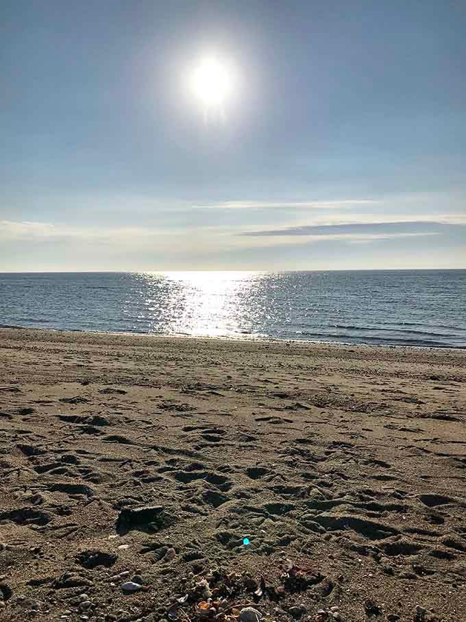 Where the sun throws diamonds across the water. The beach at golden hour transforms ordinary sand into a canvas of light.