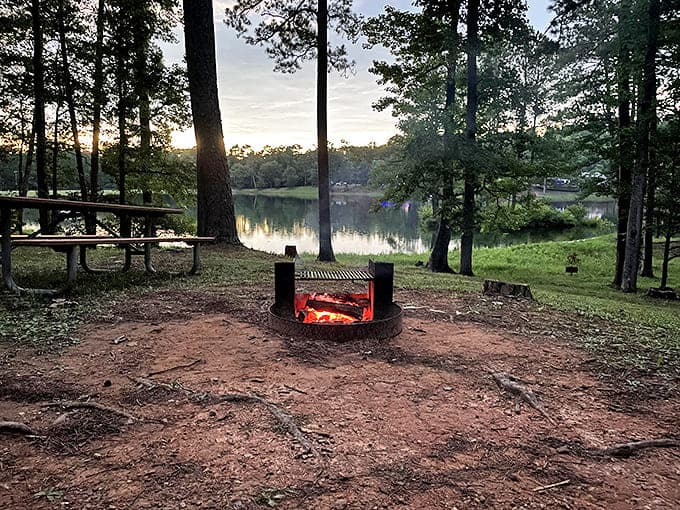 Campfire cooking: where everything tastes better and ghost stories are mandatory. S'mores not pictured but strongly implied.