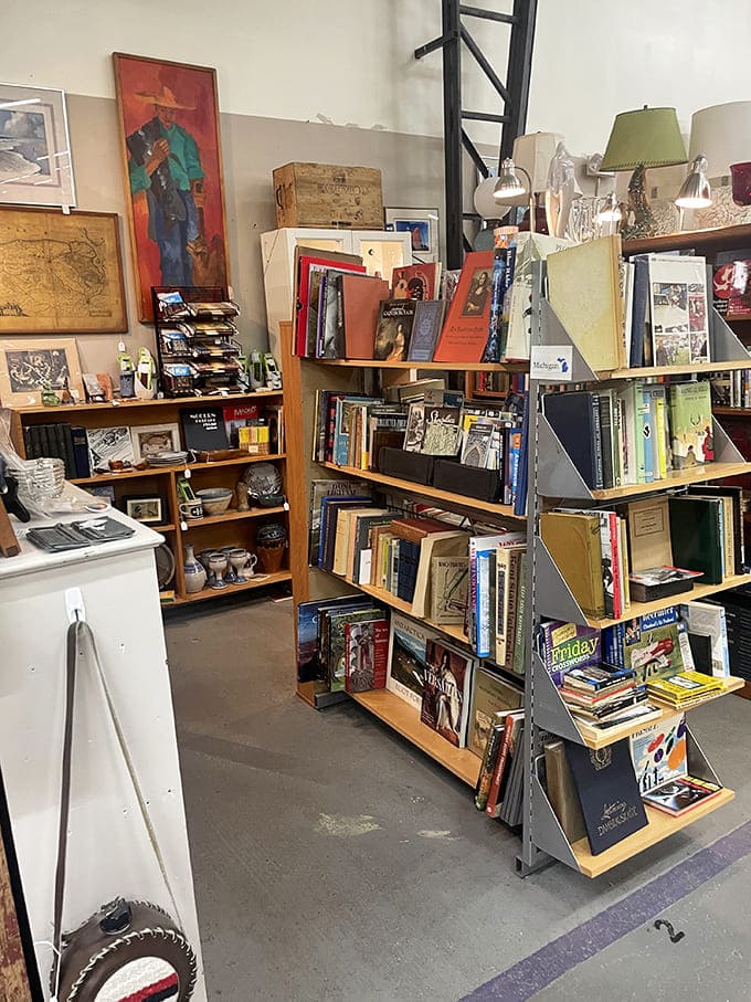 A bibliophile's corner of literary temptation. These shelves don't just hold books; they hold doorways to other times, places, and imaginations.