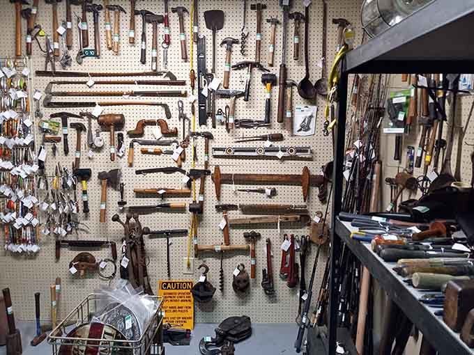 Tool collectors' paradise where hammers and wrenches become an accidental art installation. Each rust pattern tells a story of garages and workshops past.