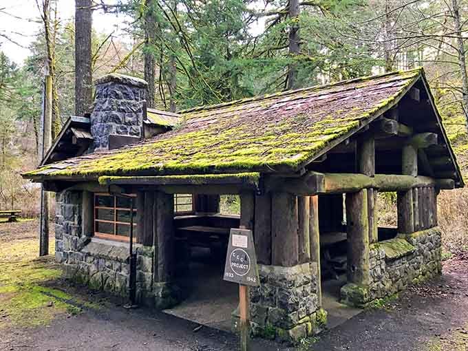 This moss-covered CCC shelter has been photobombing family picnics since the Great Depression, aging more gracefully than most of us.