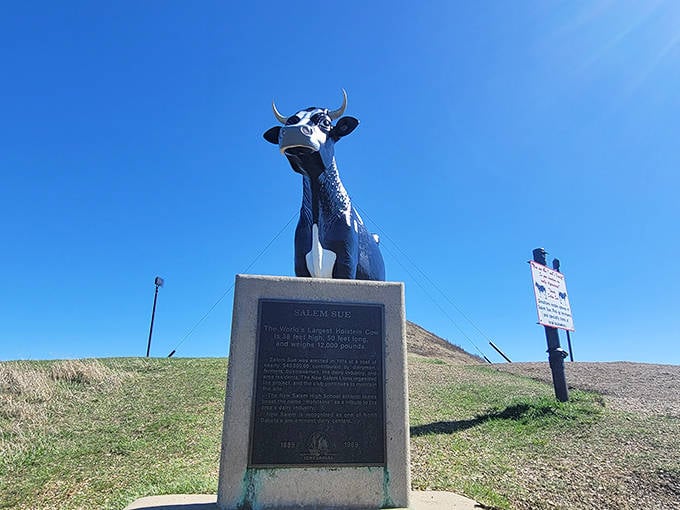 Every icon deserves proper introduction. This plaque tells Sue's story, though her massive presence speaks volumes on its own.