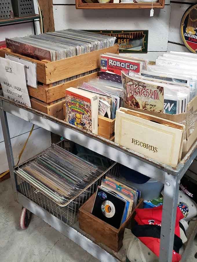 Vinyl records and comic books waiting to transport you back to simpler times when entertainment didn't require a password or subscription.