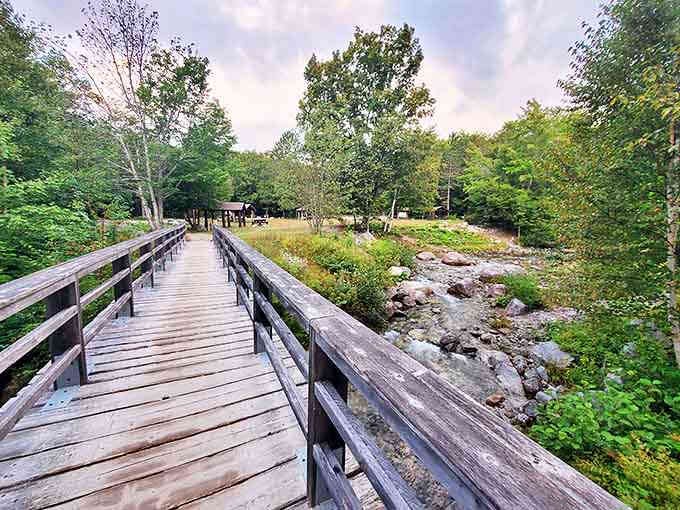 This rustic bridge connects you to adventures while keeping your feet dry. Engineering that respects its surroundings.