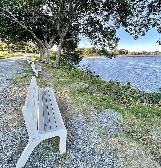 These benches aren't just seating—they're front-row tickets to the greatest show on earth: the ever-changing face of Niantic Bay.