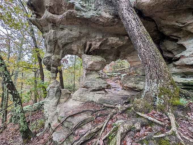 This natural stone arch stands as proof that Mother Nature was into architecture long before humans figured out doors.