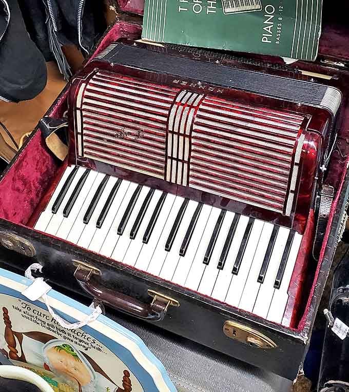 This accordion seems to inhale decades of polka parties and family gatherings&mdash;you can almost hear "Roll Out the Barrel" when you walk by.