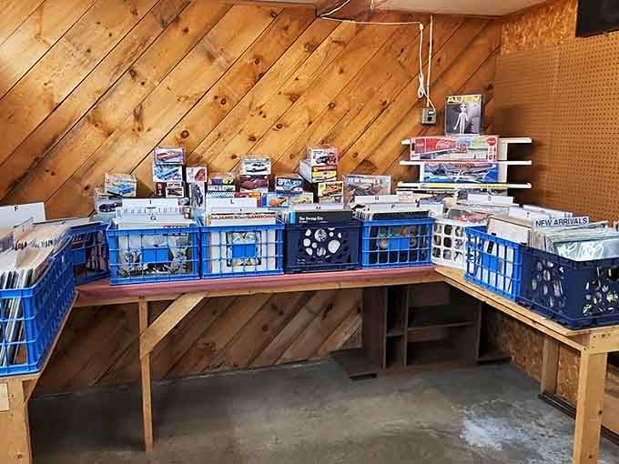 Vinyl records and model kits—the analog entertainment center for generations before Netflix and chill became a thing.