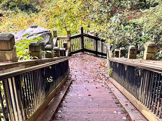 A wooden staircase leads you deeper into forest that feels untouched by the chaos of modern civilization.