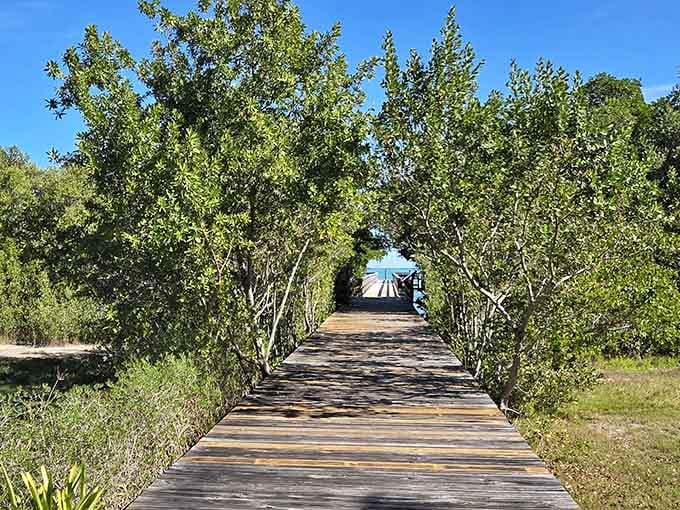 A wooden boardwalk curves through native vegetation like a gentle invitation to slow down and breathe deeply.