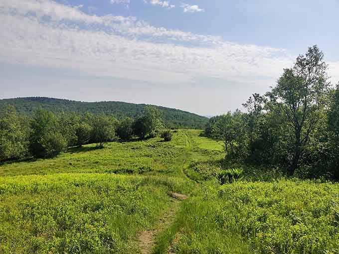 Rolling meadows and distant peaks create the kind of scenery that makes you understand why people write poetry.