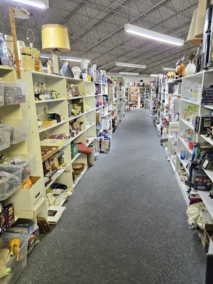 Another endless aisle beckoning you forward, whispering promises of that one thing you didn't know existed.