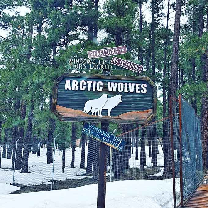 That "Windows Up, Doors Locked" sign isn't a suggestion, it's basically the most important advice you'll get all day.