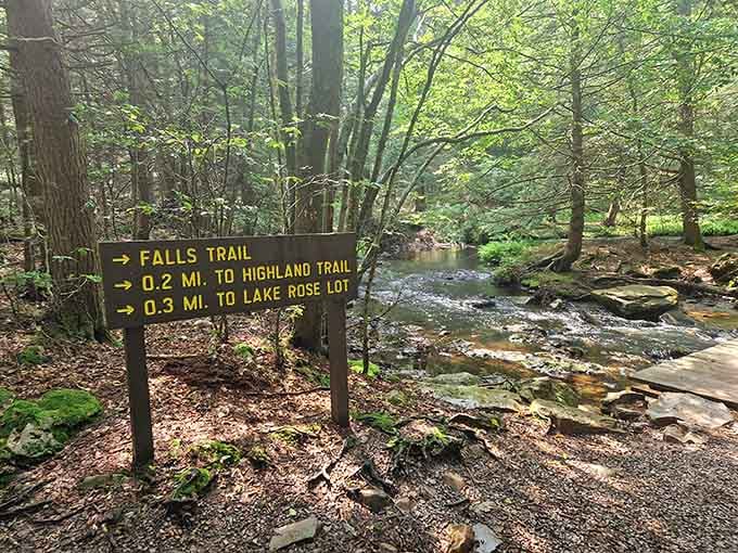 Trail markers point you toward waterfall paradise, where getting lost is impossible but losing track of time happens constantly.