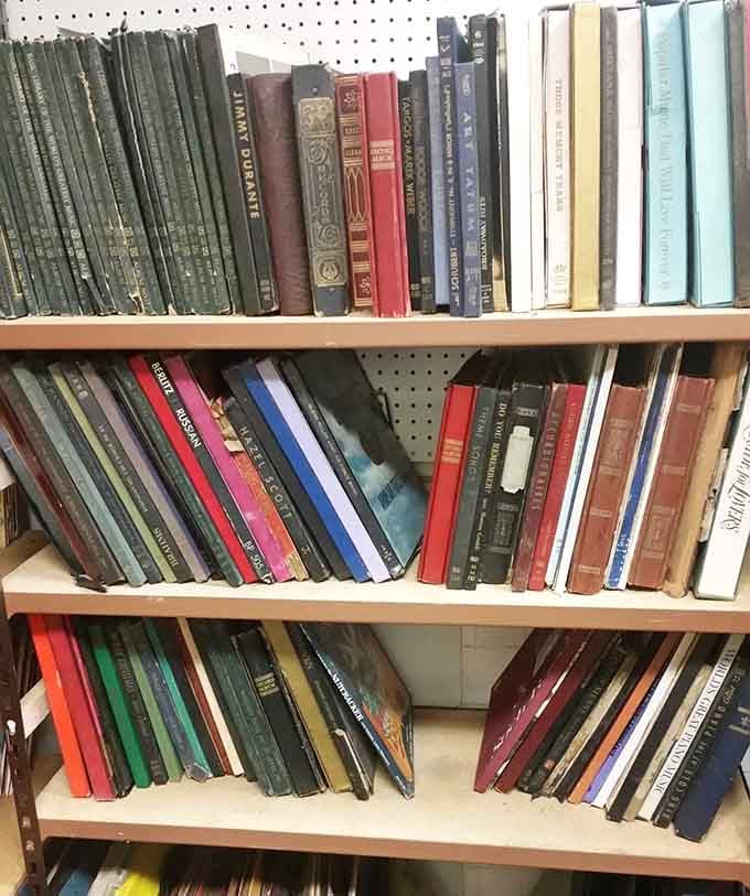 Book shelves where literary treasures await discovery. Each spine represents a world of imagination available for pocket change.