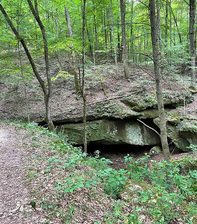 Rock shelters that have been providing shade and wonder since long before air conditioning was invented.