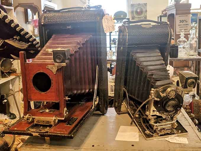 Old cameras that captured moments before everyone became a photographer with a phone in their pocket.