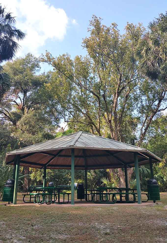 Shaded picnic pavilion stands ready for family gatherings in a town that values community and togetherness above all.