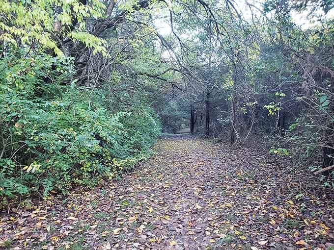 The trail winds through history, where every step takes you deeper into a story most Hoosiers never knew existed.