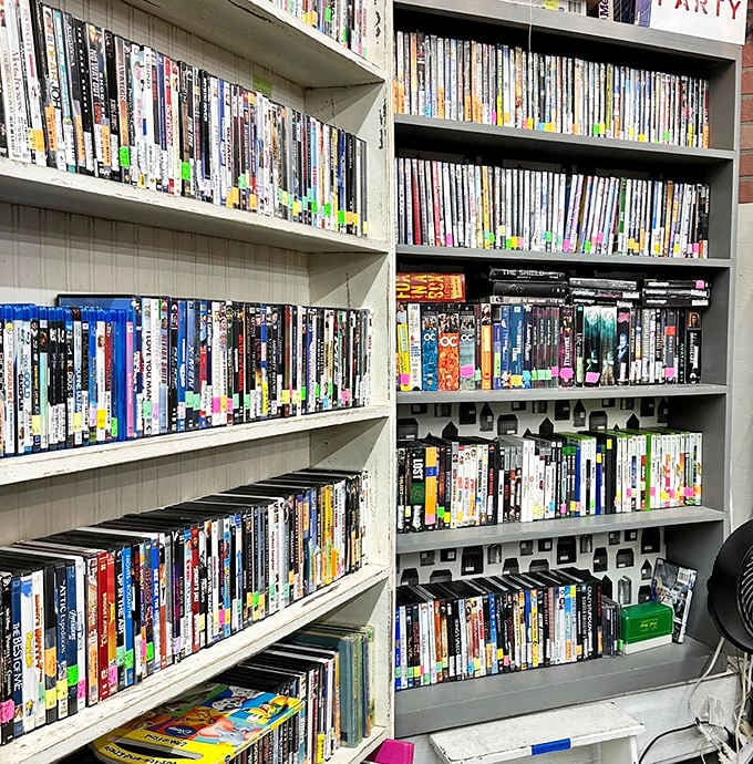 Remember when movie night meant browsing actual shelves? This DVD collection is a nostalgic reminder of pre-streaming entertainment decisions.