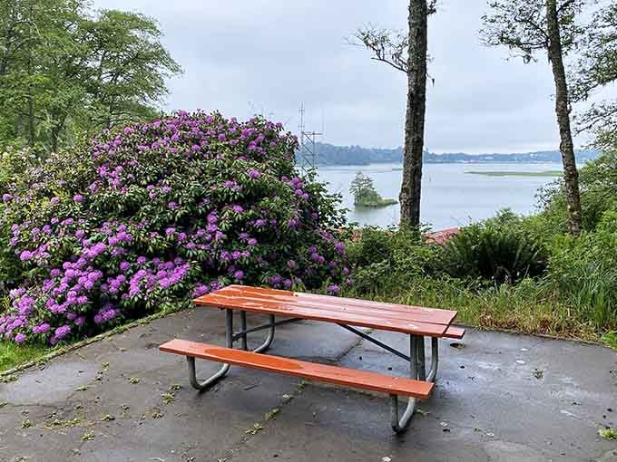 Picnic tables with million-dollar views where your sandwich tastes better simply because of the spectacular backdrop.