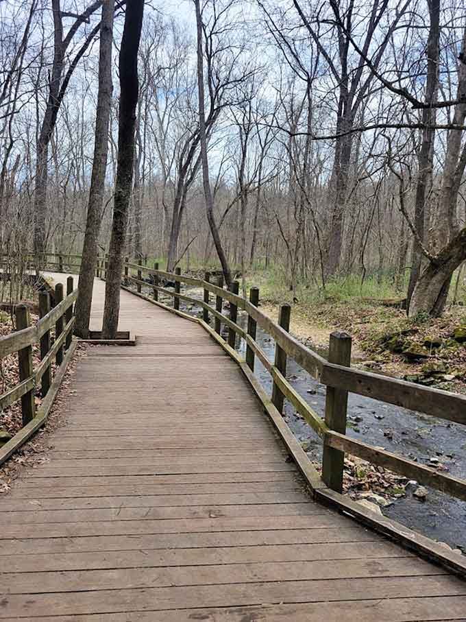 The boardwalk stretches through bare trees, proving that winter hiking has its own stark beauty.