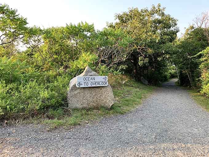 "Ocean to Overlook" isn't just a direction—it's an invitation to discover views that'll have your camera working overtime.