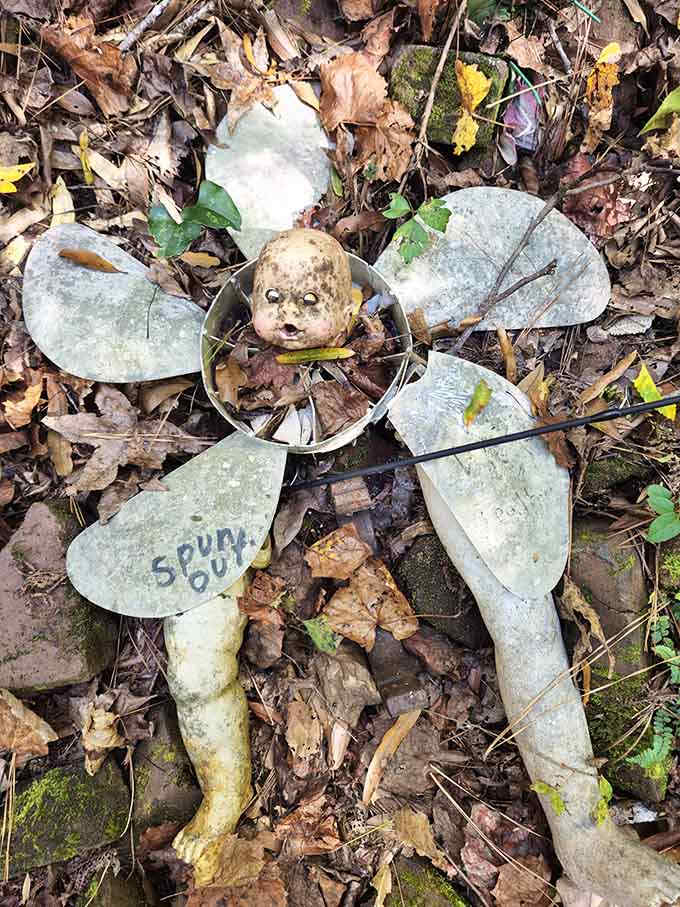 Spun Out indeed, this weathered flower child has been blooming in the forest for longer than expected.