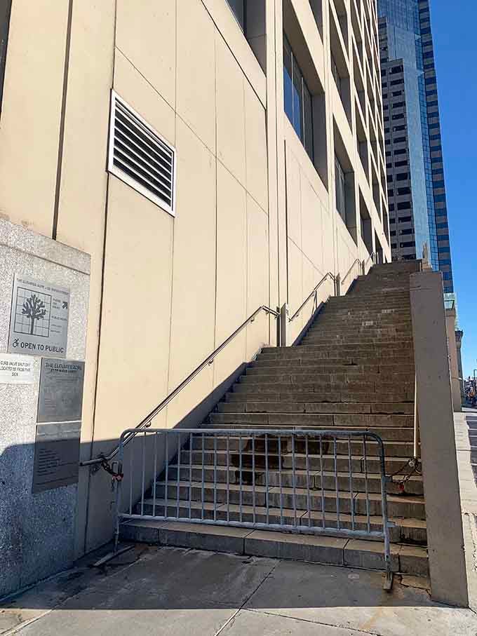 Those unassuming stairs lead to your new favorite escape, hidden in plain sight near the subway station.