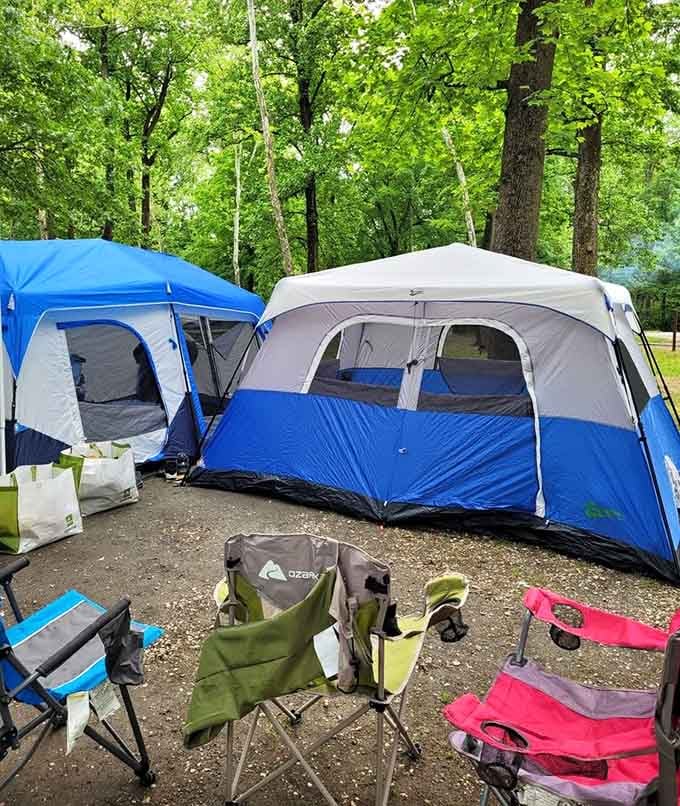 Tent camping under forest canopy delivers that authentic outdoor experience with surprisingly good bathroom access nearby.