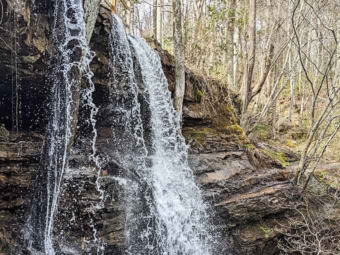 Water cascades over ancient rock like liquid silver, proving that some things improve with age.