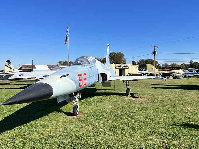 The sleek Northrop F-5 Tiger II proves that Cold War engineering created some seriously photogenic flying machines.