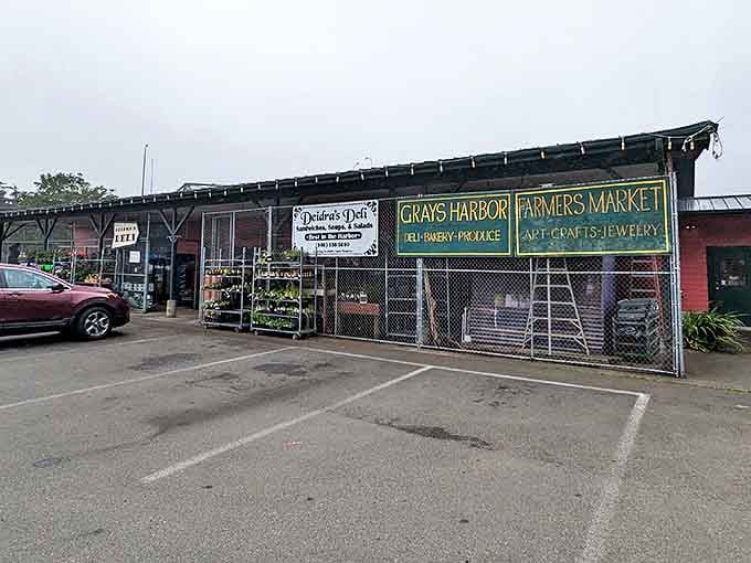Grays Harbor Farmers Market delivers farm-fresh produce and local crafts without big city prices or pretentious kale discussions.