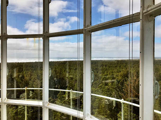 From the lantern room windows, the coastal forest stretches toward the harbor in layers of green worth every step.