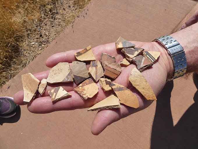 Pottery fragments that once held someone's dinner, now holding centuries of stories in your very hand.