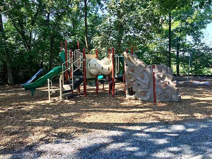 Kids can burn energy here after exploring underground, because apparently spelunking doesn't tire them out enough.