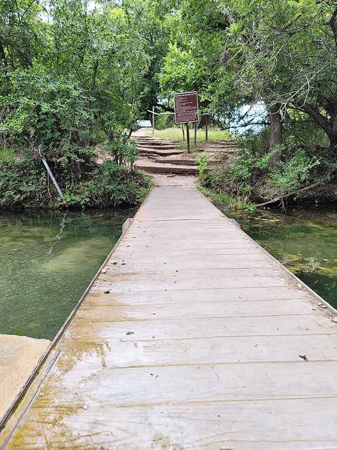 The boardwalk over Cypress Creek proves that sometimes the journey really is as beautiful as the destination itself.