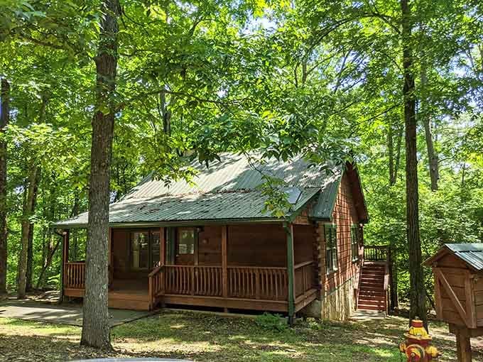 Cozy cabins tucked among the trees offer the camping experience without the sleeping-on-rocks part of camping.