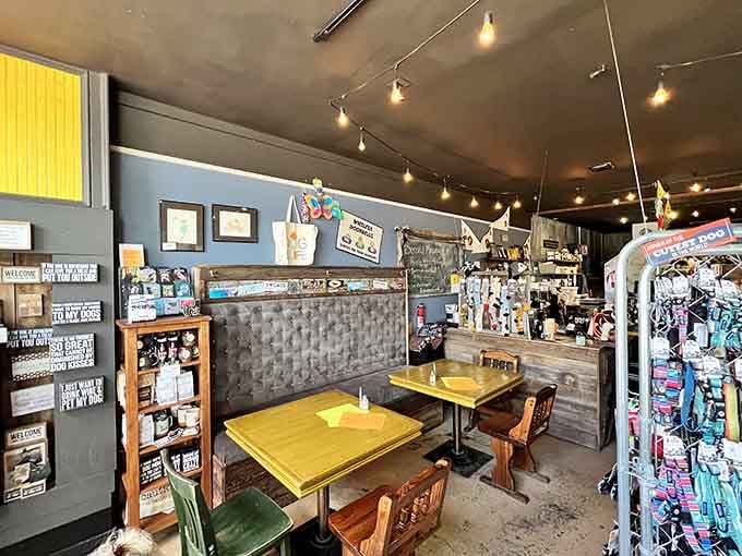 The Dog Spot's cheerful interior proves that even small mountain towns can serve up serious caffeine with personality to spare.