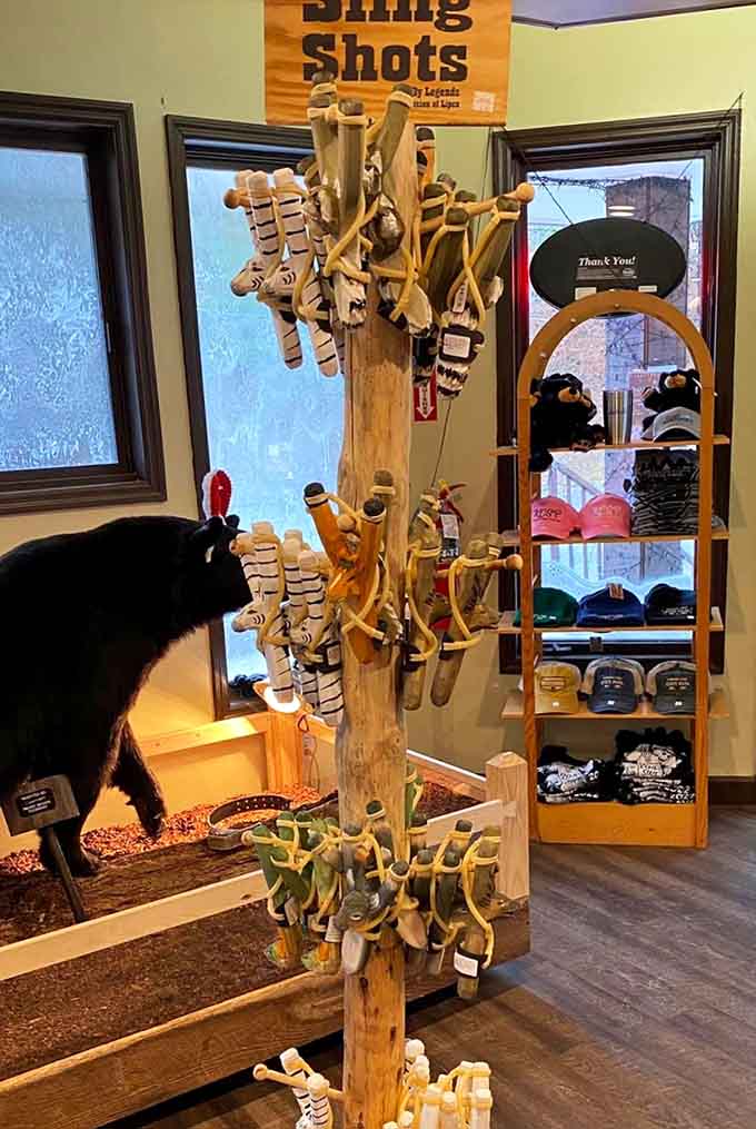 The gift shop offers handcrafted slingshots that are way cooler than whatever souvenir magnet you were considering.