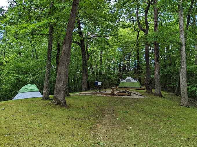 Forest campsites offer the rare luxury of waking up at 2,700 feet elevation with morning mist still clinging to valleys below.