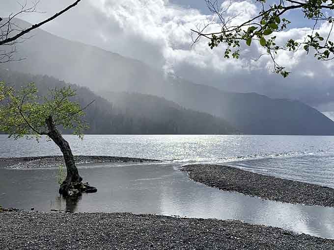 Misty mornings transform the lake into something mystical, like you've stumbled into a Pacific Northwest fairy tale.