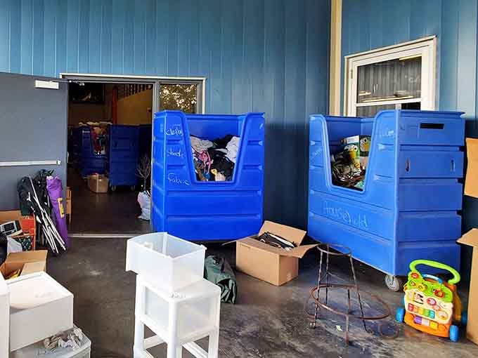 Behind the scenes magic! These blue bins represent the first step in the journey from donation to discovery, each one a potential gold mine.