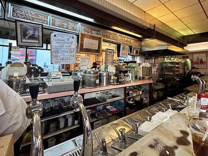 The open kitchen concept means watching skilled hands prepare your meal, no mystery about what's happening back there.