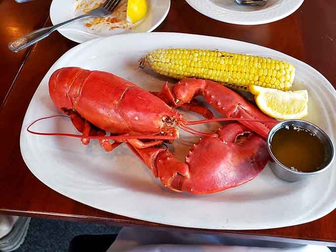 This isn't just a lobster&mdash;it's a crimson celebration of New England tradition served with drawn butter and zero pretension.