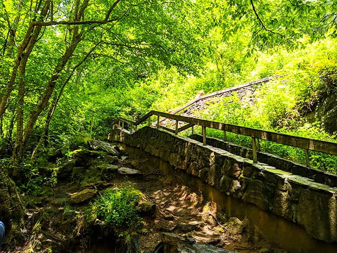 The walkway winds through greenery so vibrant it makes your lawn look like it's given up entirely.