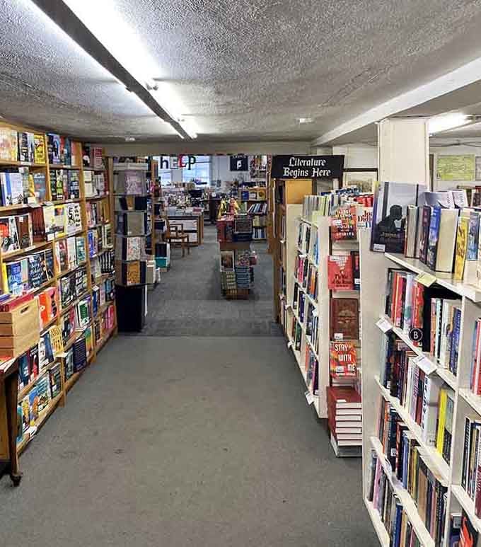 Endless aisles stretch toward infinity, proving that paradise is real and smells like old paper.