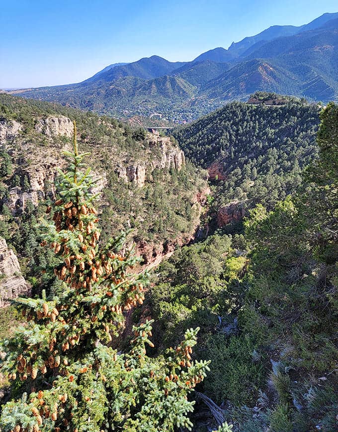 Canyon views reveal layers of geological history, with forests clinging to slopes that seem impossibly steep.